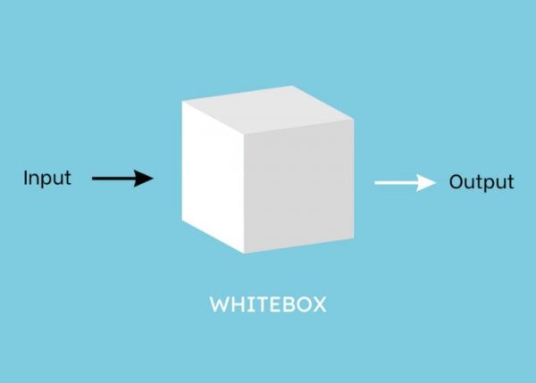 White Box Testing là gì? Phân loại và quy trình kiểm thử hộp trắng
