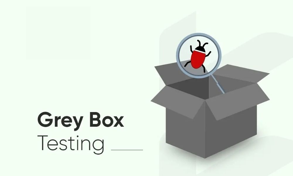 Gray Box Testing là gì? Phân biệt và quy trình kiểm thử Gray Box